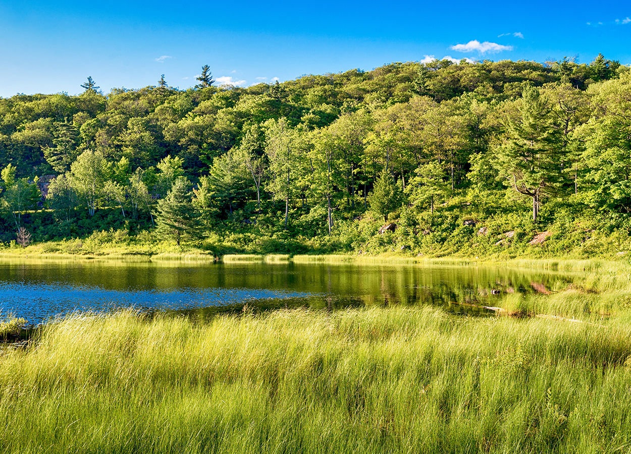 The climate challenge – a race to zero | Fidelity Hong Kong