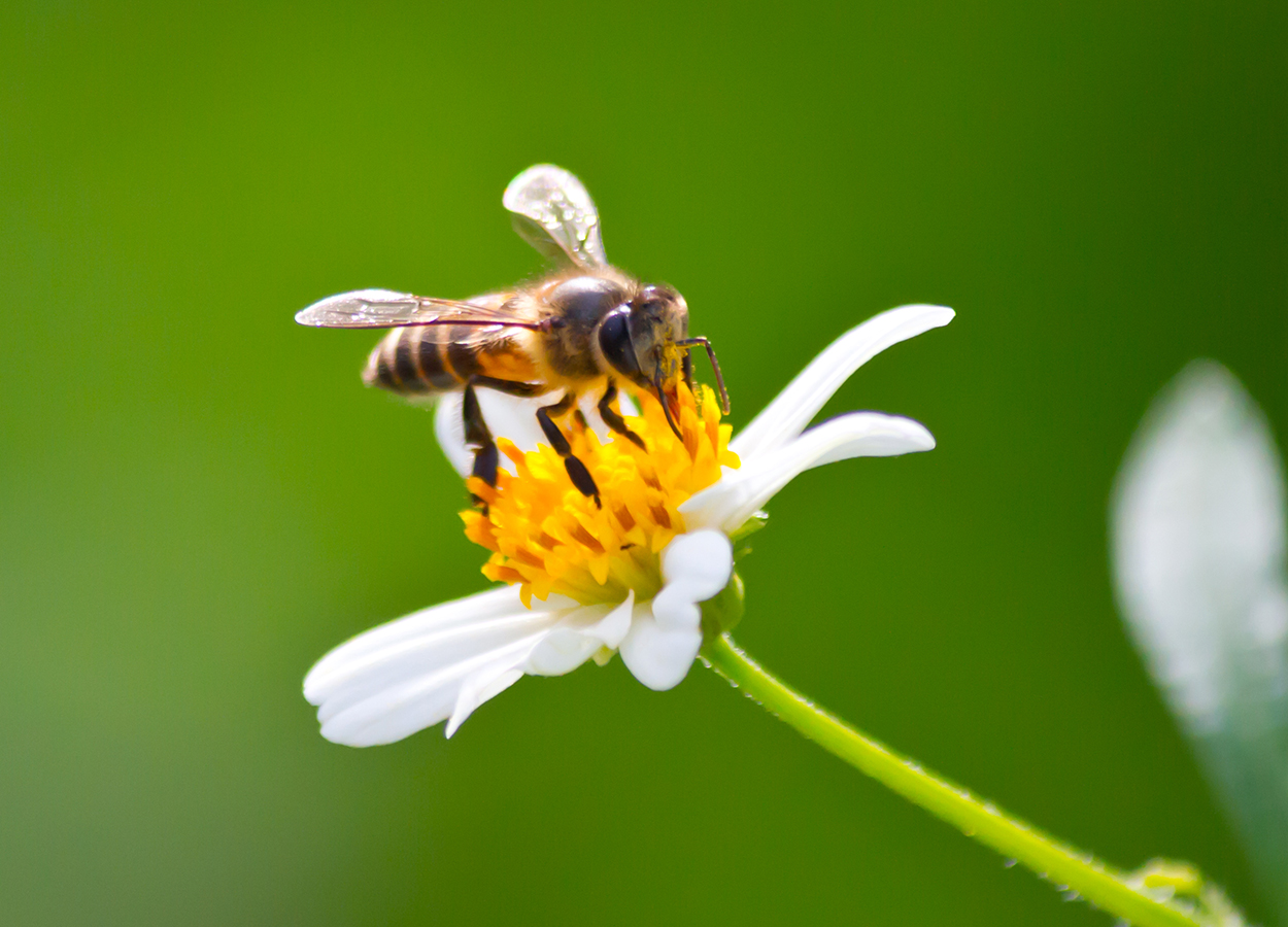 Joined-up thinking – coordinating the response to climate change ...