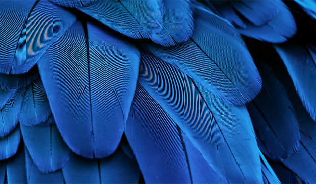 Fidelity Hong Kong - Asset management & fund investment in Hong Kong ...