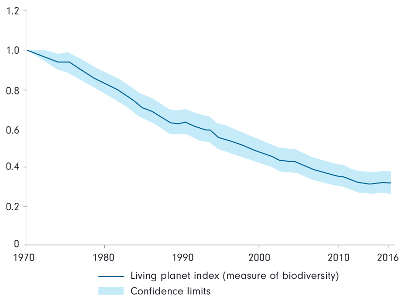 What investors need to know about biodiversity | Fidelity Hong Kong