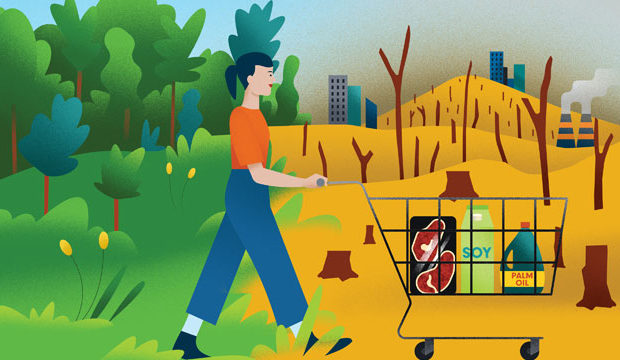 Opportunities for investors in carbon credits and trading | Fidelity Hong Kong